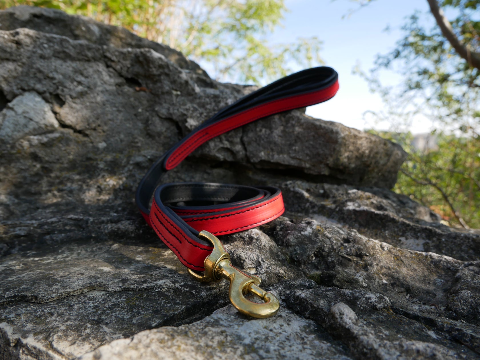 Castellar Collar and Leash Set with Ornaments Red – Castellar collars