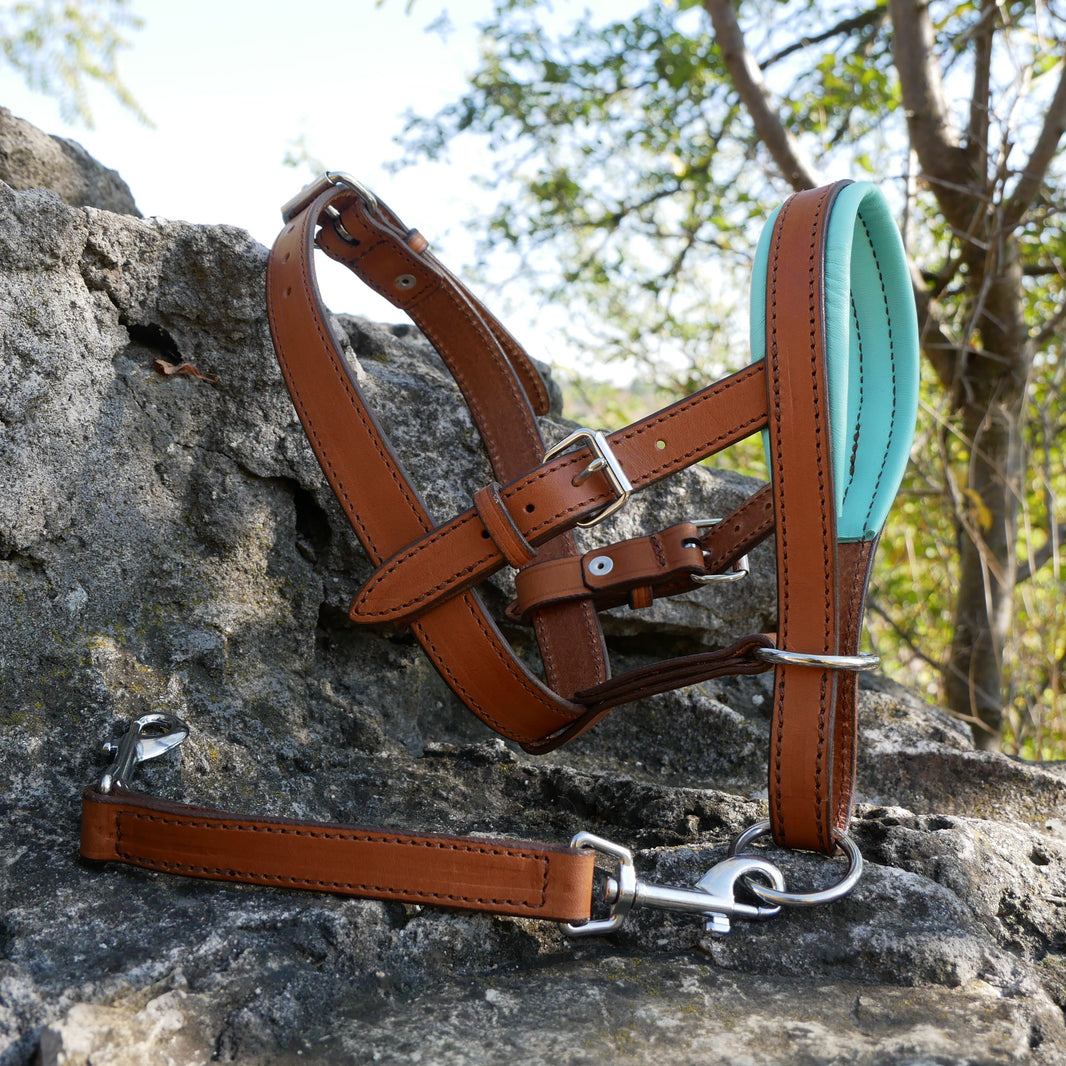Handmade leather collars, braided leashes and soft padded dog halters ...