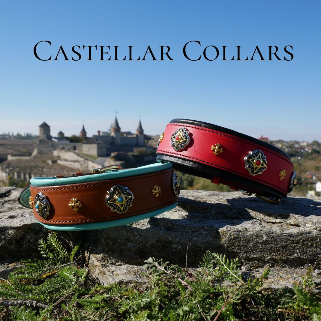 Handmade leather collars, braided leashes and soft padded dog halters ...